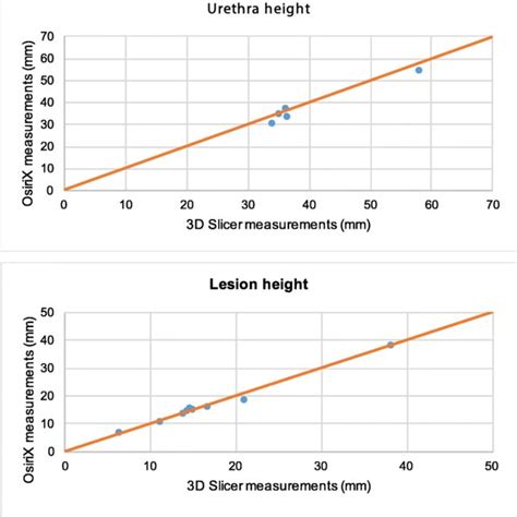 Osirix And 3d Slicer Mean Dimensional Measurements In Each Patient
