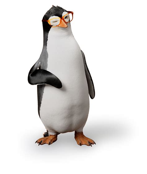 Home Stanton Optical