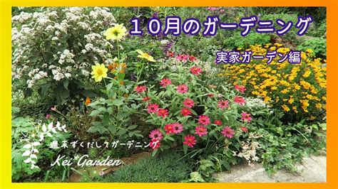 10月のガーデニング 実家の庭に咲く花 10月の花 珪酸塩白土 苗植え付け YouTube