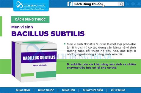 H Ng D N C Ch D Ng M T S Lo I Men Vi Sinh Benh Vn