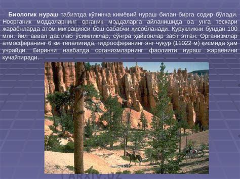 Экзоген ва эндоген жараёнлар Geologiya Slaydlar