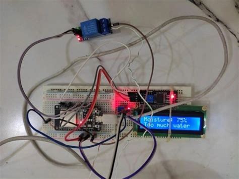 Techforgood Iot Smartgardening Esp32 Blynkapp Innovation Plantcare Automation