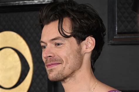 Harry Styless New Venture Is Sex Toys Heres What To Know The
