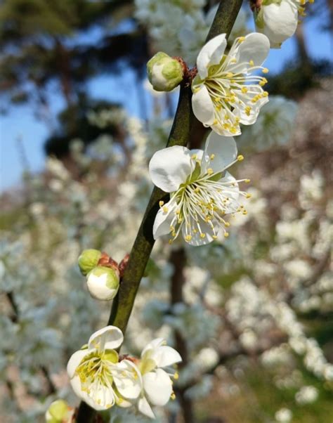 한 세월을 살아낸 여성이 자신의 삶을 담아 시집을 낸다 그 제목이 드라마의 그것과 같은 였다 박성호 네이버 블로그