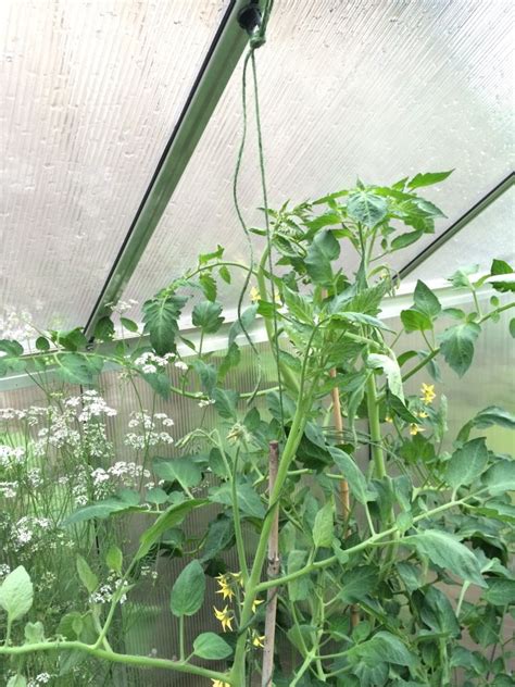 Simple Ebb And Flow Hydroponic System Artofit