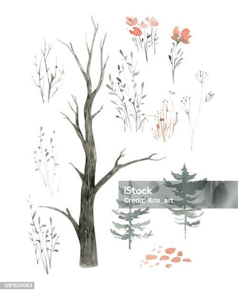 녹색 나무 자작 나무와 소나무 산 재 숲의 스칸디나비아 수채화 자연 세트 흰색 배경에 고립 된 겨울 빈티지 컬렉션 우드랜드 디자인 요소 숲에 대한 스톡 벡터 아트 및 기타