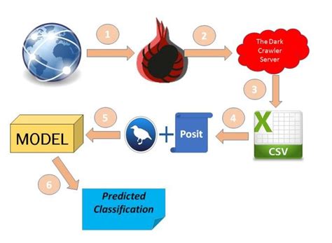 The Positweka Model Download Scientific Diagram
