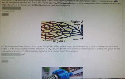 solved this assignment is set up for sequential assessment