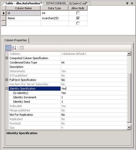 Set Sql Identity Column Sql Autonumber In Sql Server 2005