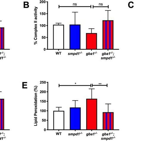 Mitochondrial Respiratory Chain Function And Lipid Peroxidation A Download Scientific