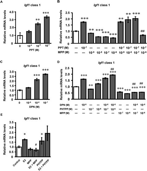 Effects Of Ppt Mpp Dpn And Phtpp On Class 1 Igf1 Mrna Expression In Download Scientific