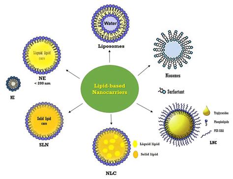 Schematic Diagram Illustrating The Various Types Of Lipid Based Nano