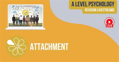 Attachment Aqa A Level Psychology Live Revision Livestreams Tutor2u