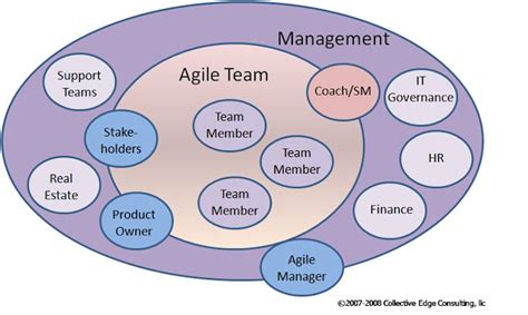 Agile Project Management Roles