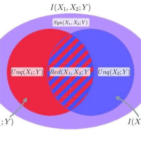 Partial Information Decomposition Of I Race Sex Income I Race