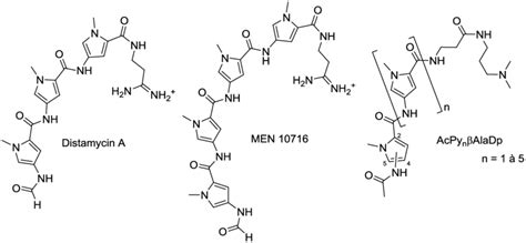 Structure Chimique De La Distamycin A Et De Quelques Dérivés