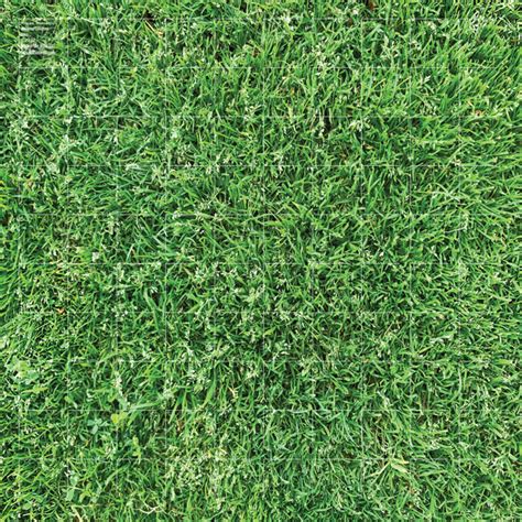 Mosaic Moments 12x12 Grid Paper Grass