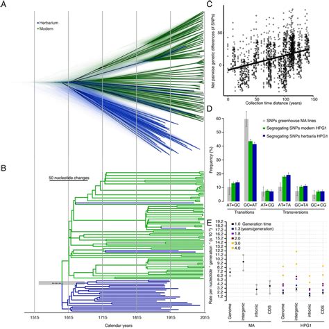 Substitution Rates A Bayesian Phylogenetic Analyses Employing Download Scientific Diagram