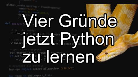 Vier Gründe Warum Du Jetzt Python Lernen Solltest Kiscando