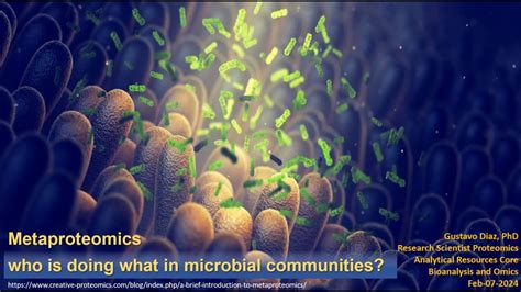 Arc Seminar Series Metaproteomics Who Is Doing What In Microbial Communities Youtube