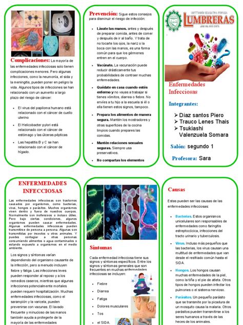 Triptico Enfermedades Infecciosas Pdf Infección Ciencias De La Salud