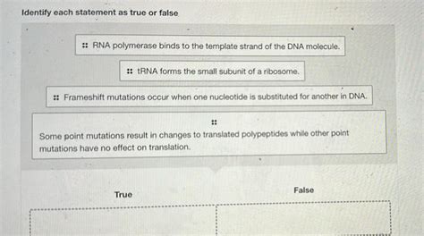 [answered] Identify Each Statement As True Or False Rna Polymerase Kunduz