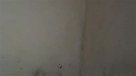 Siririca Em Mais Uma Masturbação Safada Free Sex Video Redtube