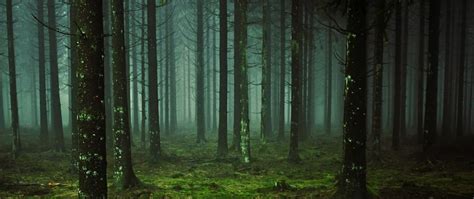 python package structure dead simple python project structure and