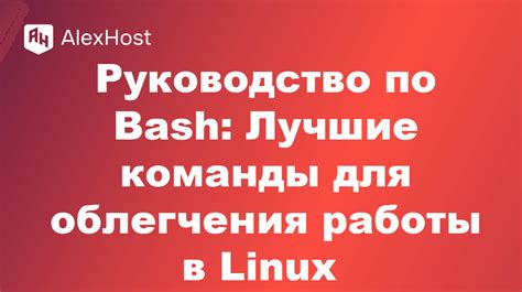 Руководство по Bash Лучшие команды для облегчения работы в Linux ⋆ Alexhost Srl