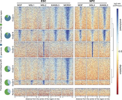 Normalization Of Dnase Seq Samples With Globally Different Chromatin Structures