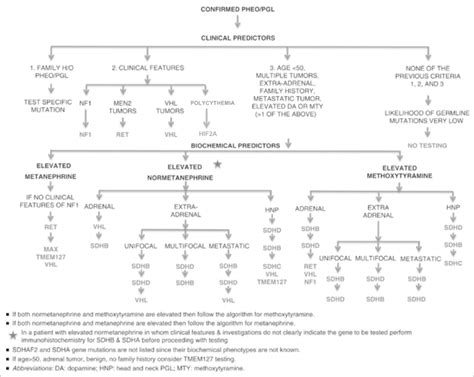 Genetic Algorithm For Pheo Pgl Testing Adapted From Karasek Et Al Download Scientific Diagram