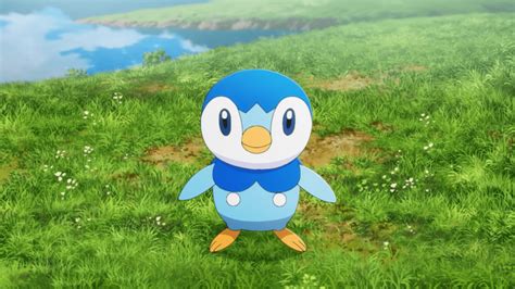 Filebarry Piplup Evolutionspng