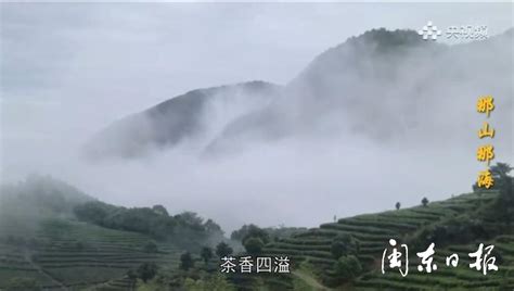 追丨畲族歌言唱响《那山那海》新宁德