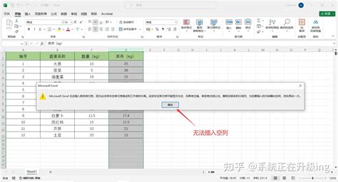 Excel表格中无法插入新行 或列 怎么办 知乎