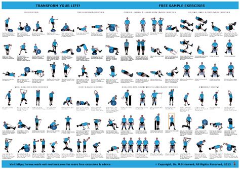 Fitness Workout Plan For Men Arienne Doucet