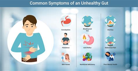 The Gut Health Guide Identifying The Signs Of An Unhealthy Gut