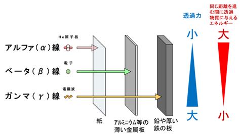 放射線の基礎知識愛媛県原子力情報ホームページ