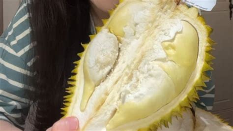 臥室開個清脆的榴蓮，今天的5房肉都很細，連睡覺都是香香的！ 一顆榴蓮樹 Youtube