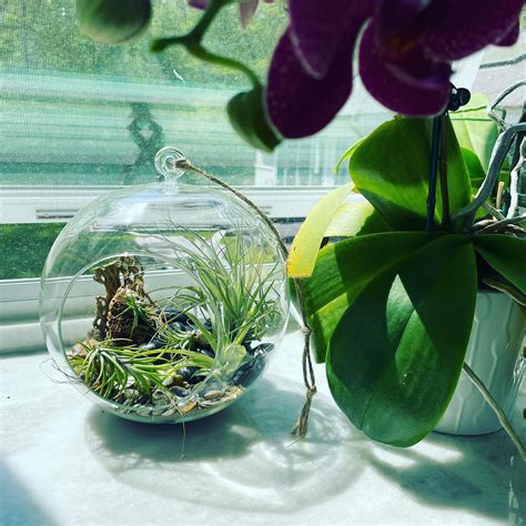 Your Fun Way To Fit Cardioglow • Instagram Photos And Videos