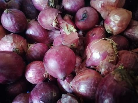 Battling Nut Grass A Lesson In Sustainable Weed Control Faith John