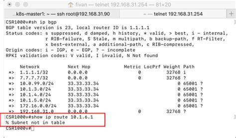 bgp routing table explained