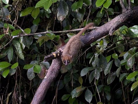 Madagaskar Rundreise Tipps And Highlights