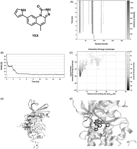 Reference Compound Yex Recognition Pathway A Ligand À Protein