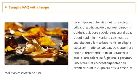 Top Five Best WordPress FAQ Plugins For Creating FAQ Pages