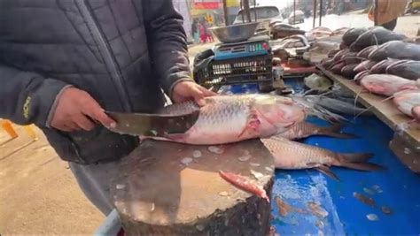 دستور پخت ماهی کاری به سبک آشپز روستایی مشهور پاکستانی فیلم