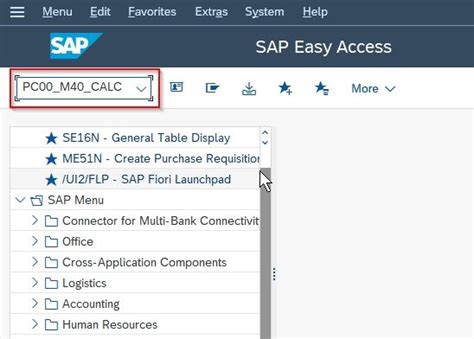 Execute Payroll In SAP HR