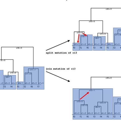 Example Of The Join And Split Colonies Mutation By Randomly Selecting