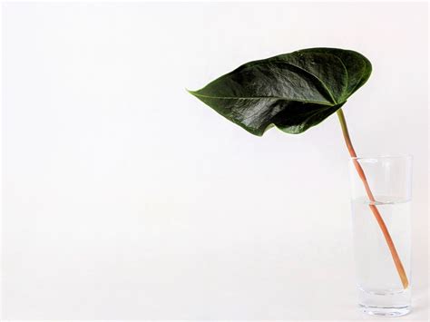 10 Ways To Find Whitespace In Your Day