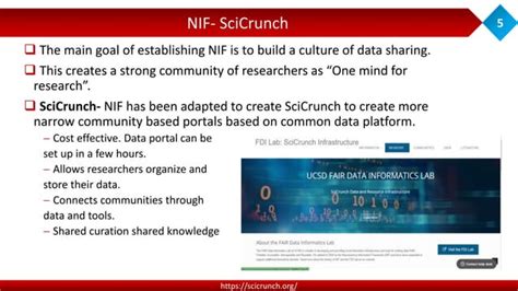 neuroinformatics databases ontologies federated database pptx