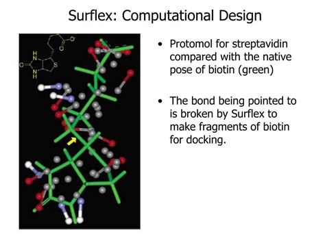 Ppt Surflex Fully Automatic Flexible Molecular Docking Using A Molecular Similarity Based